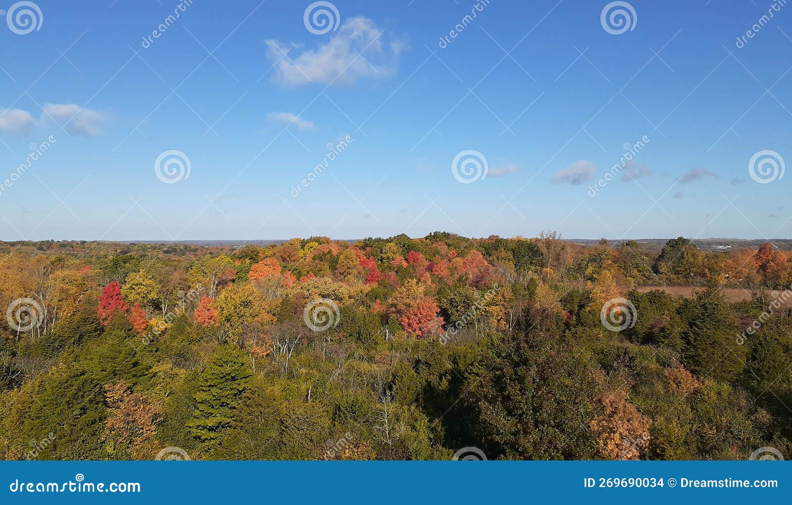 Fall forest trees Ohio stock photo. Image of forest - 269690034