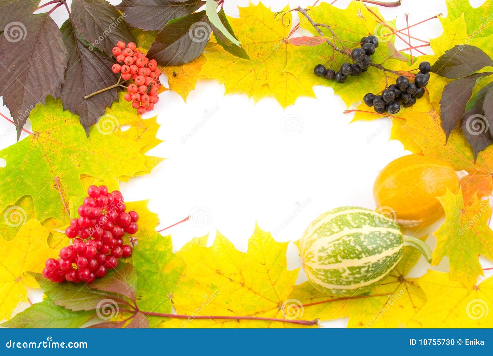 Fall frame stock photo. Image of isolated, design, decorate - 10755730