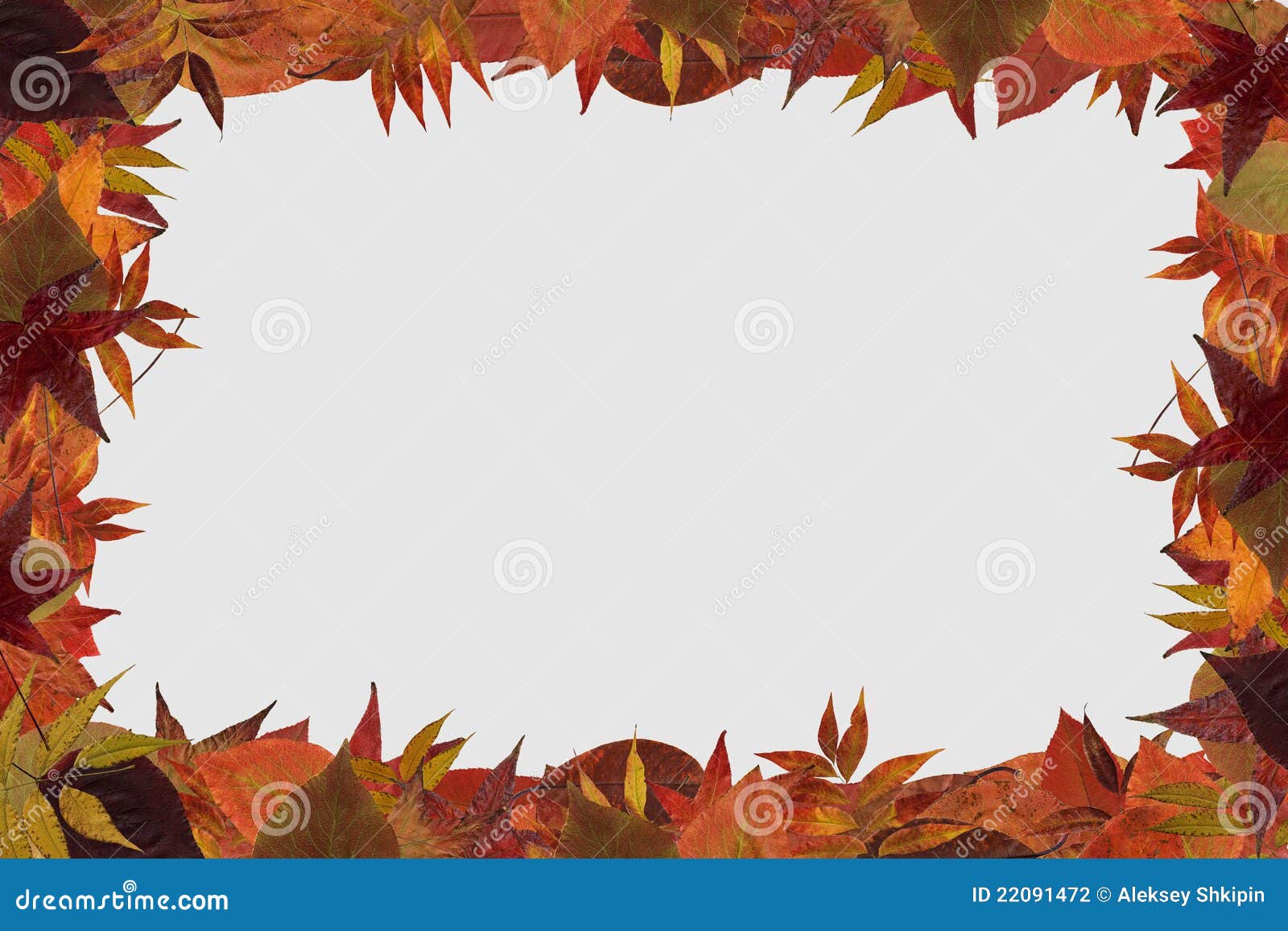 Unique Ways To Display Picture Frames In The Fall