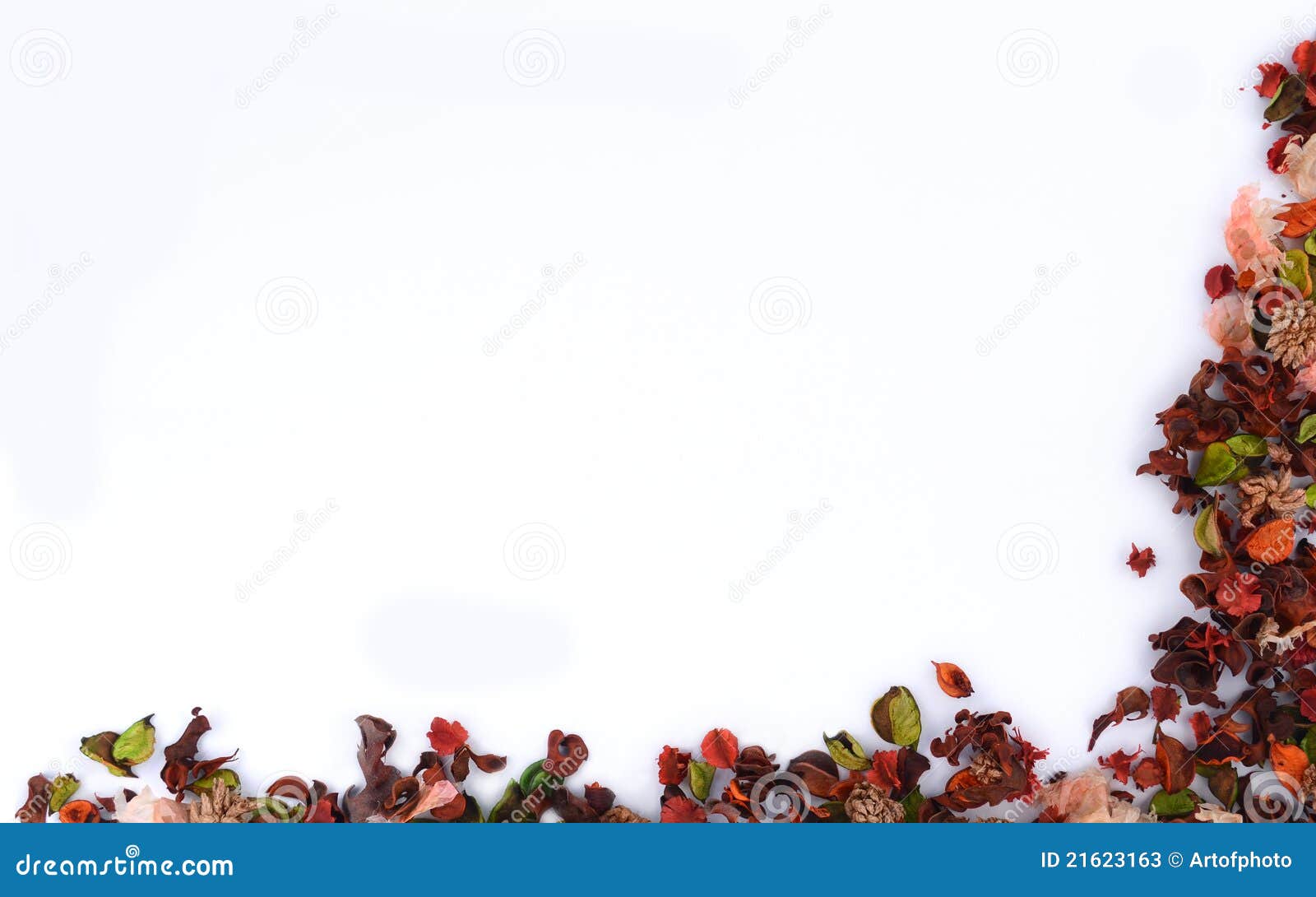 Fall frame or border stock image. Image of leaves, colorful - 21623163