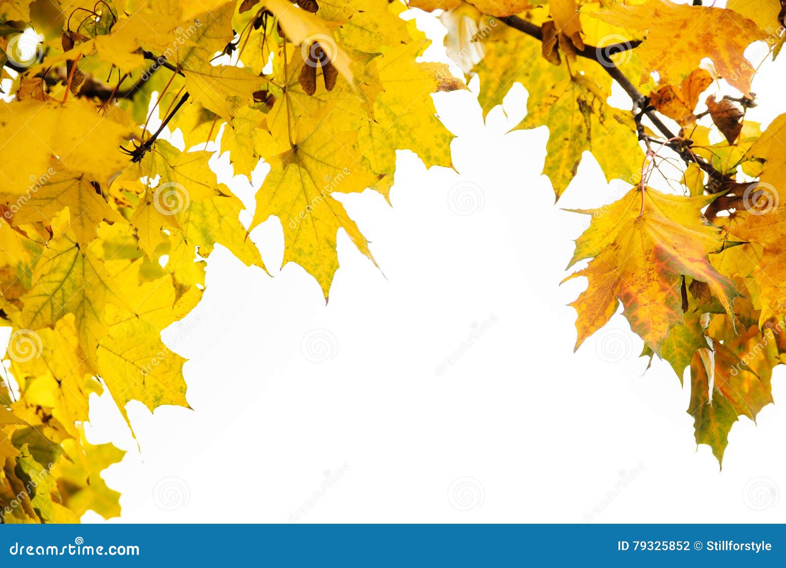 Fall Frame with Yellow Leaves Stock Photo - Image of fall, background ...