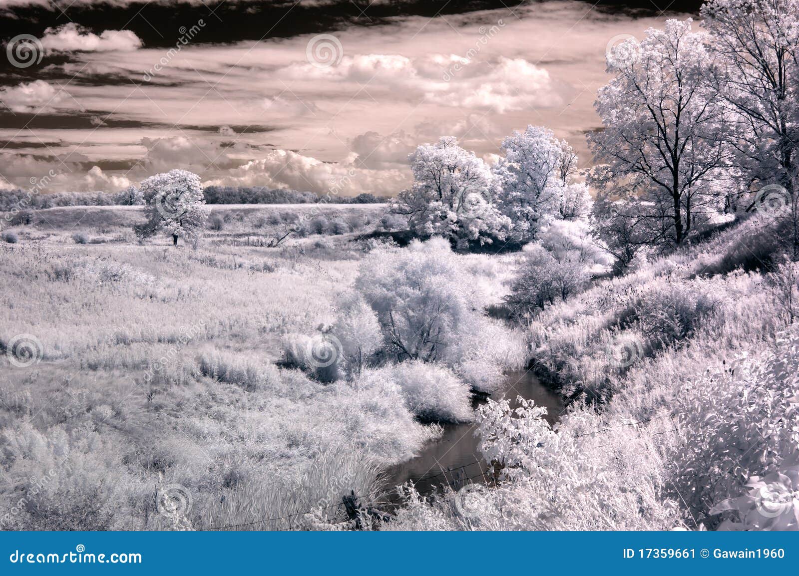 Fall frost stock image. Image of bancroft, field, nature - 17359661