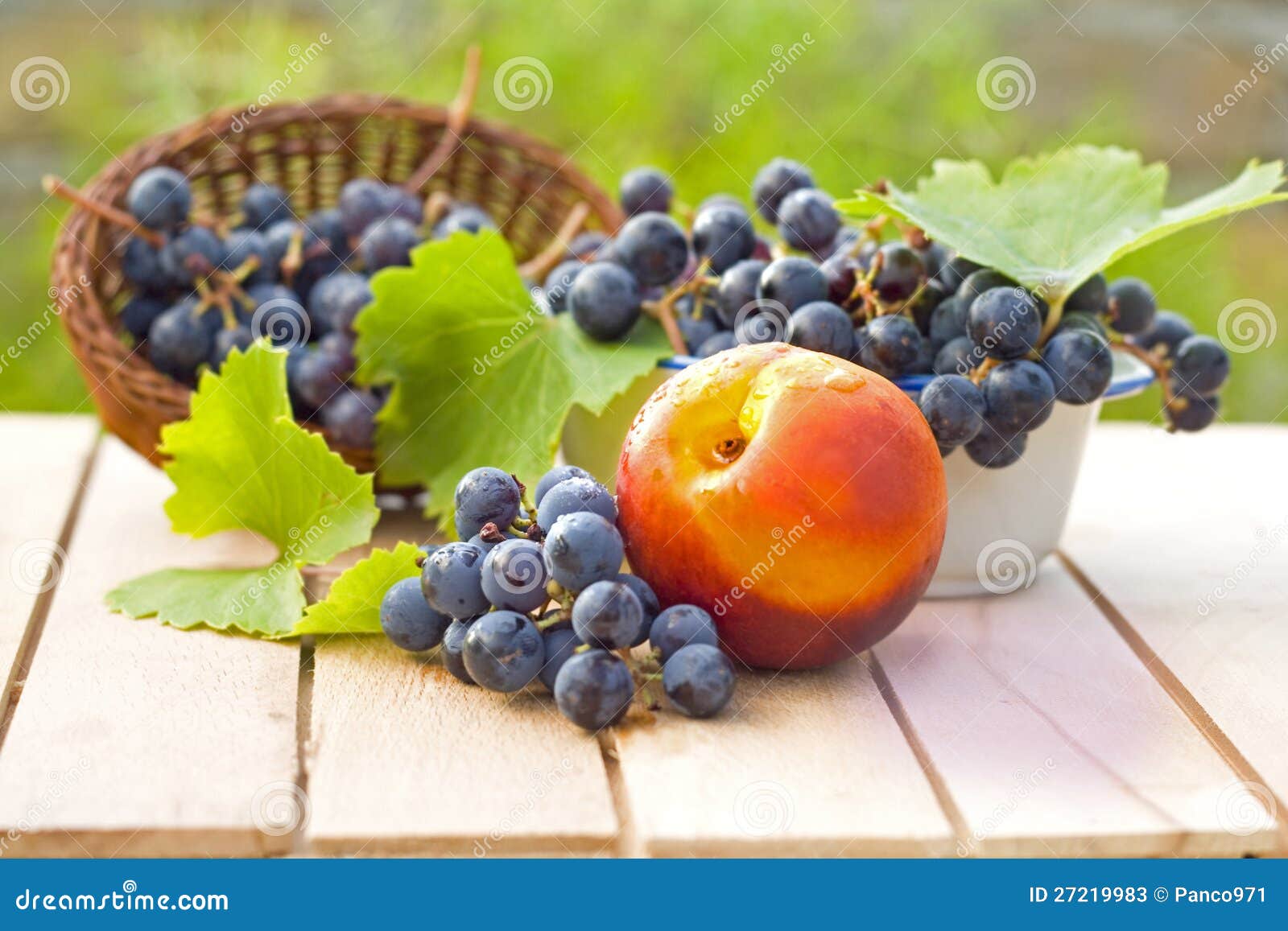 Fall fruit stock image. Image of agriculture, fall, eating - 27219983