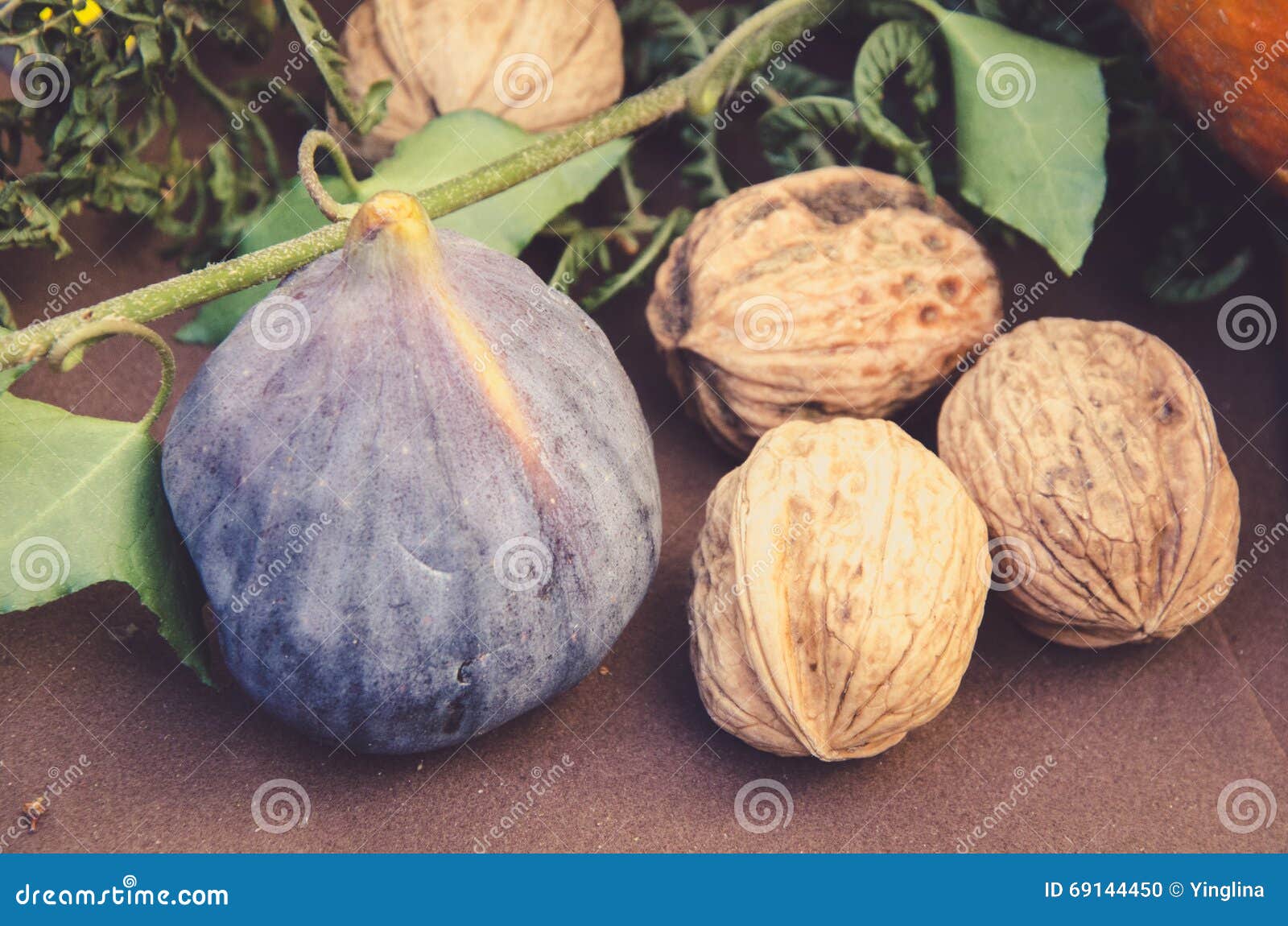 Fall fruits : fig and nuts stock photo. Image of hazelnuts - 69144450