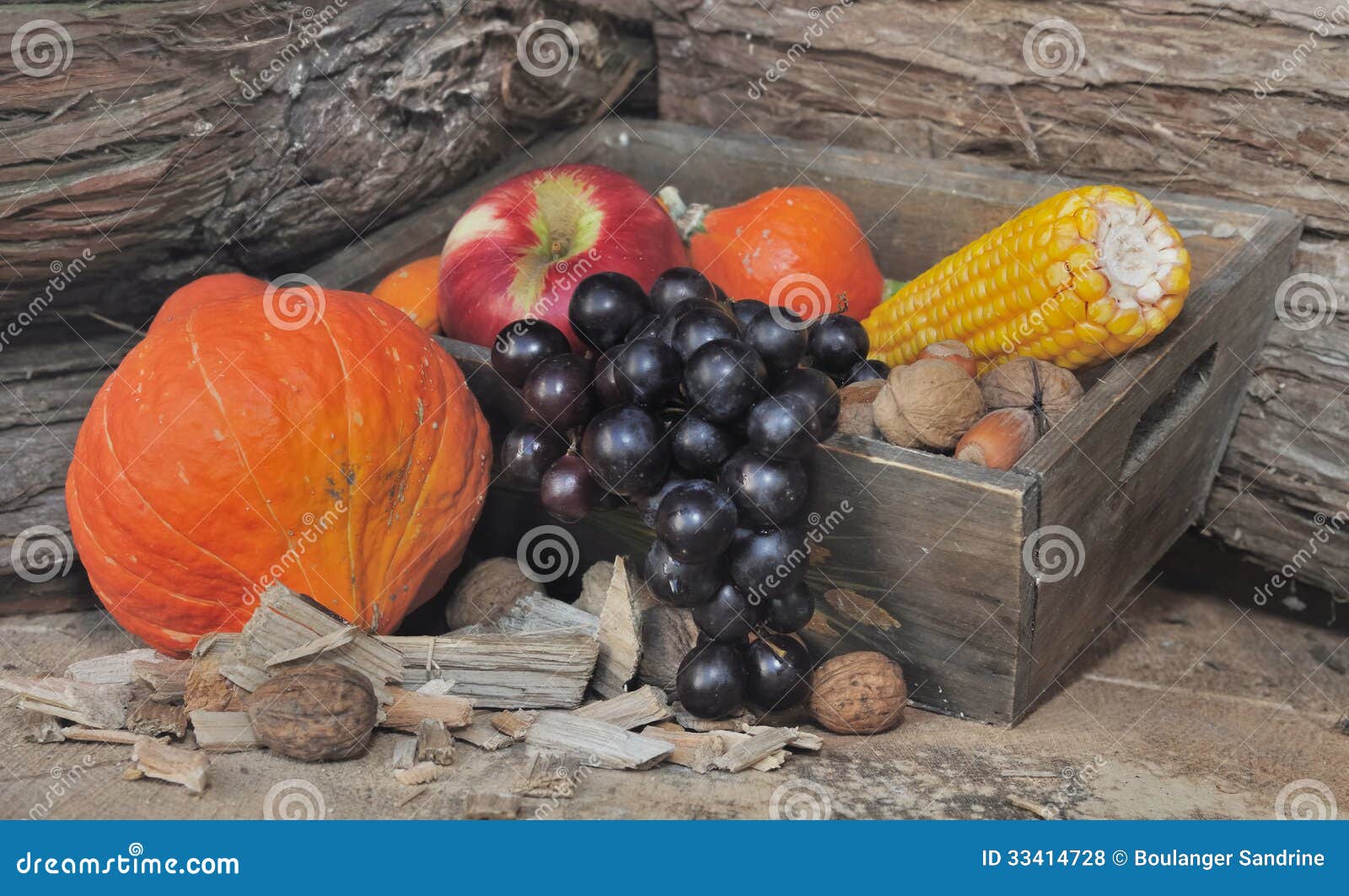 Fall fruits and vegetables stock photo. Image of nuts - 33414728