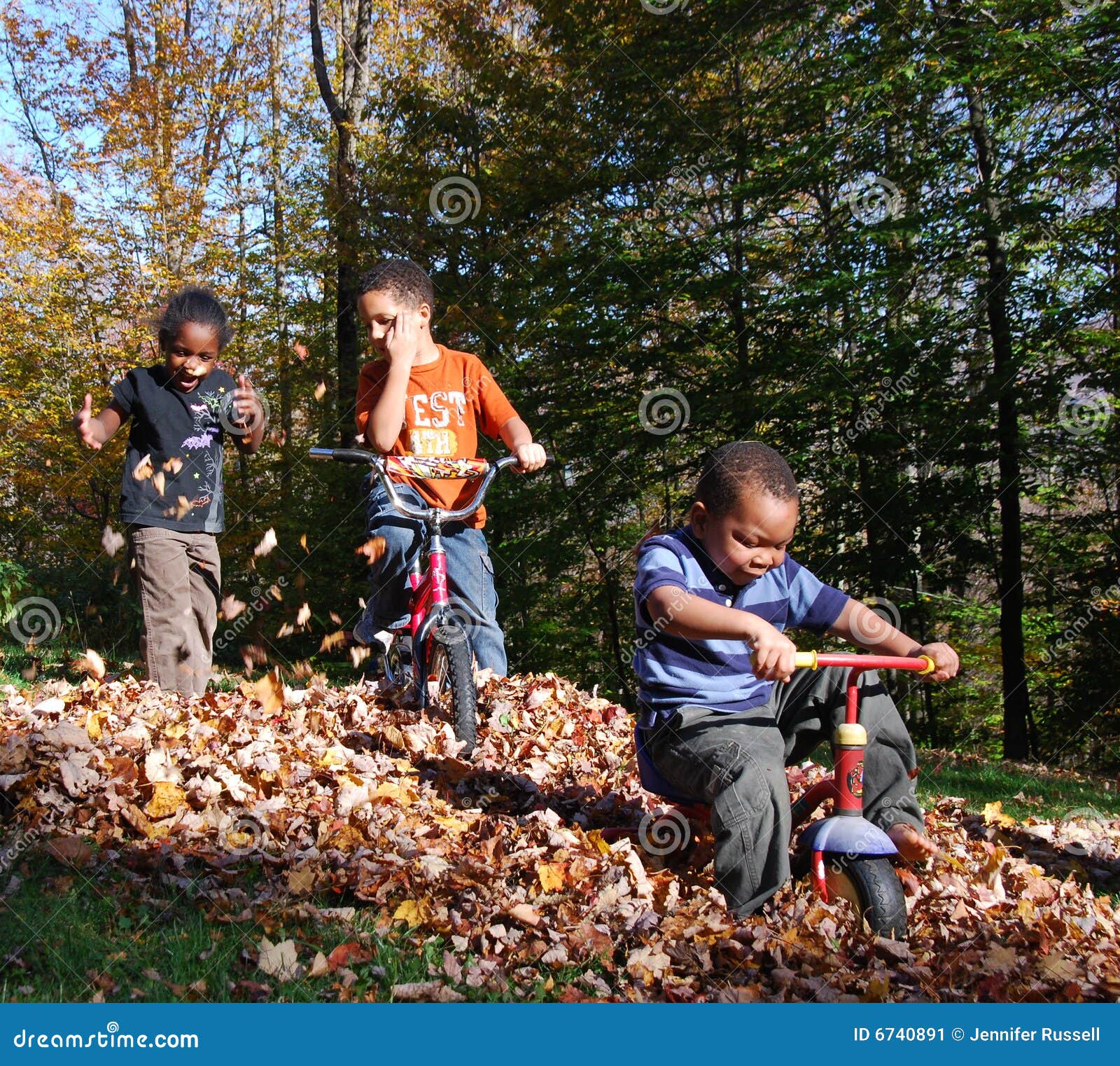 Fall Fun stock image. Image of leisure, woods, throwing - 6740891