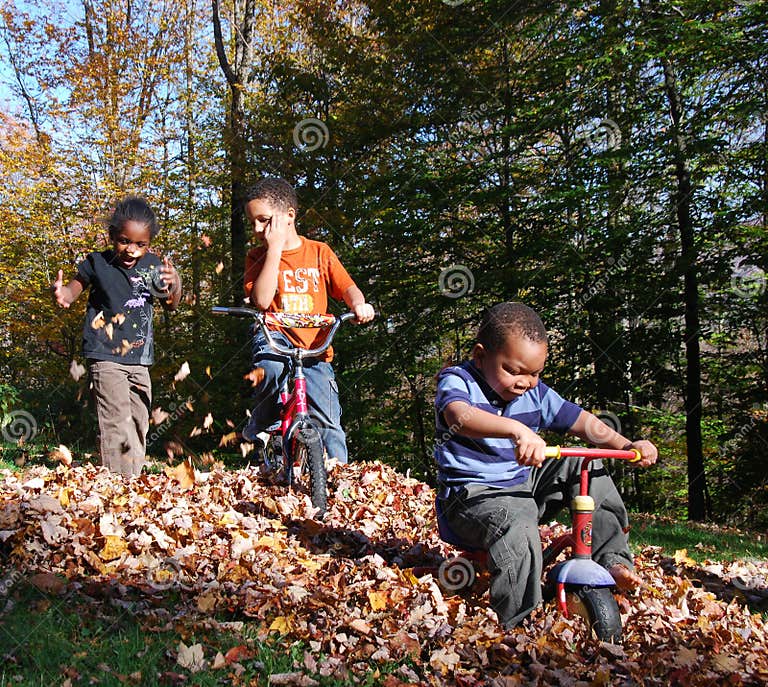 Fall Fun stock image. Image of leisure, woods, throwing - 6740891