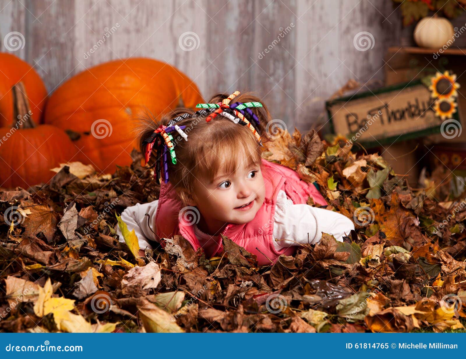 Fall fun. stock image. Image of happy, adorable, sign - 61814765