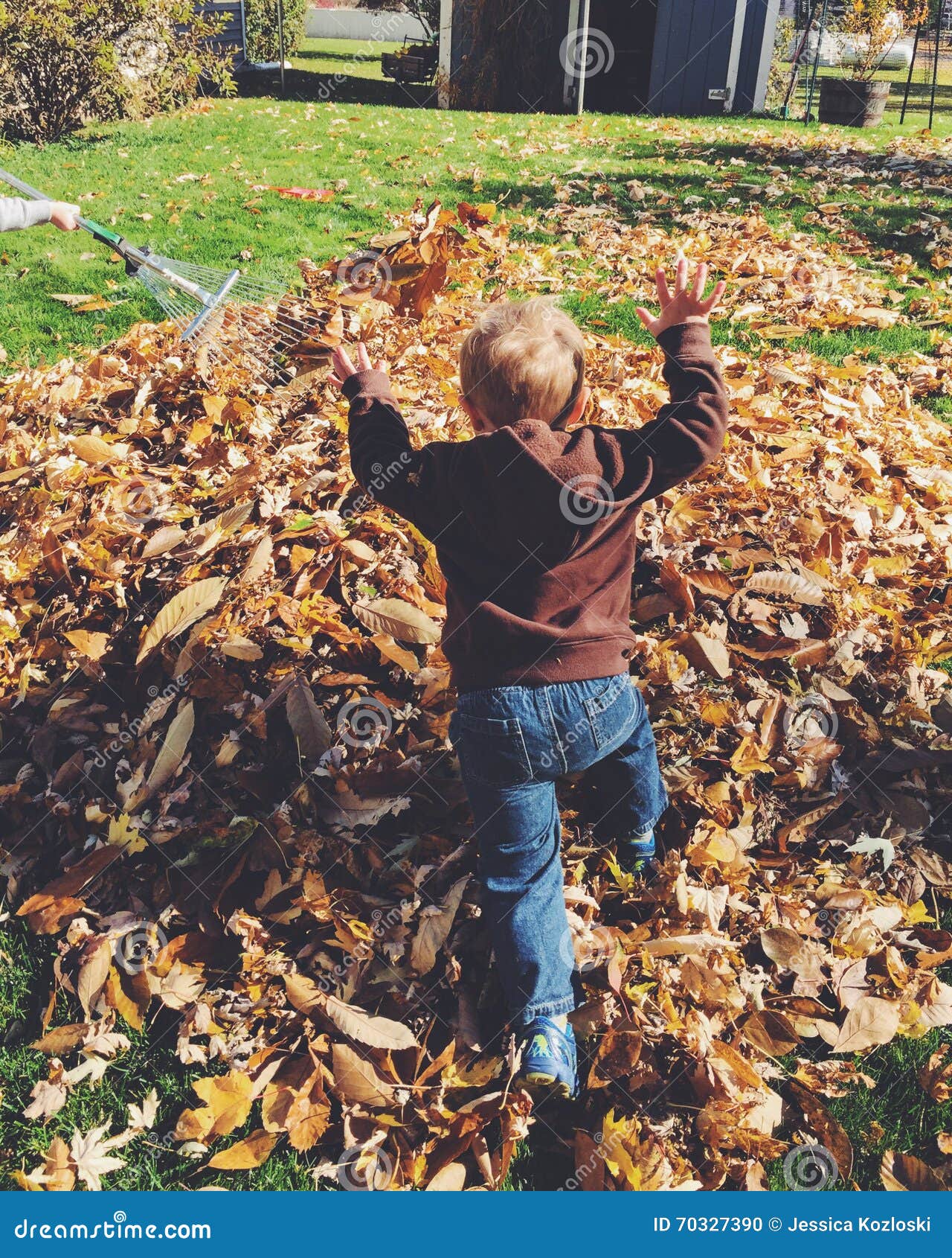 Fall Fun editorial image. Image of jumping, leaves, toddler - 70327390