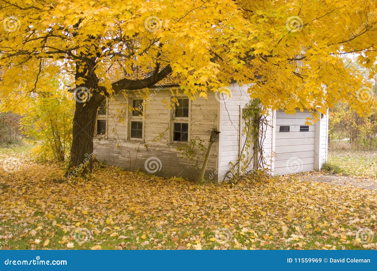 Fall Garage Scene stock image. Image of garage, seasons - 11559969