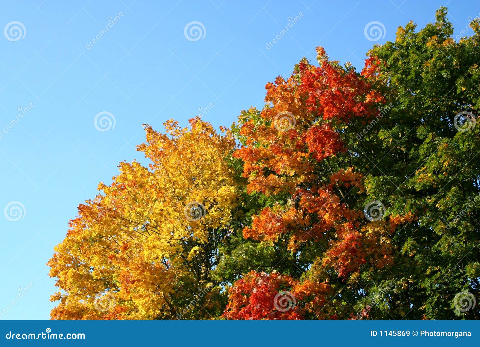 Fall In Germany Picture. Image: 1145869