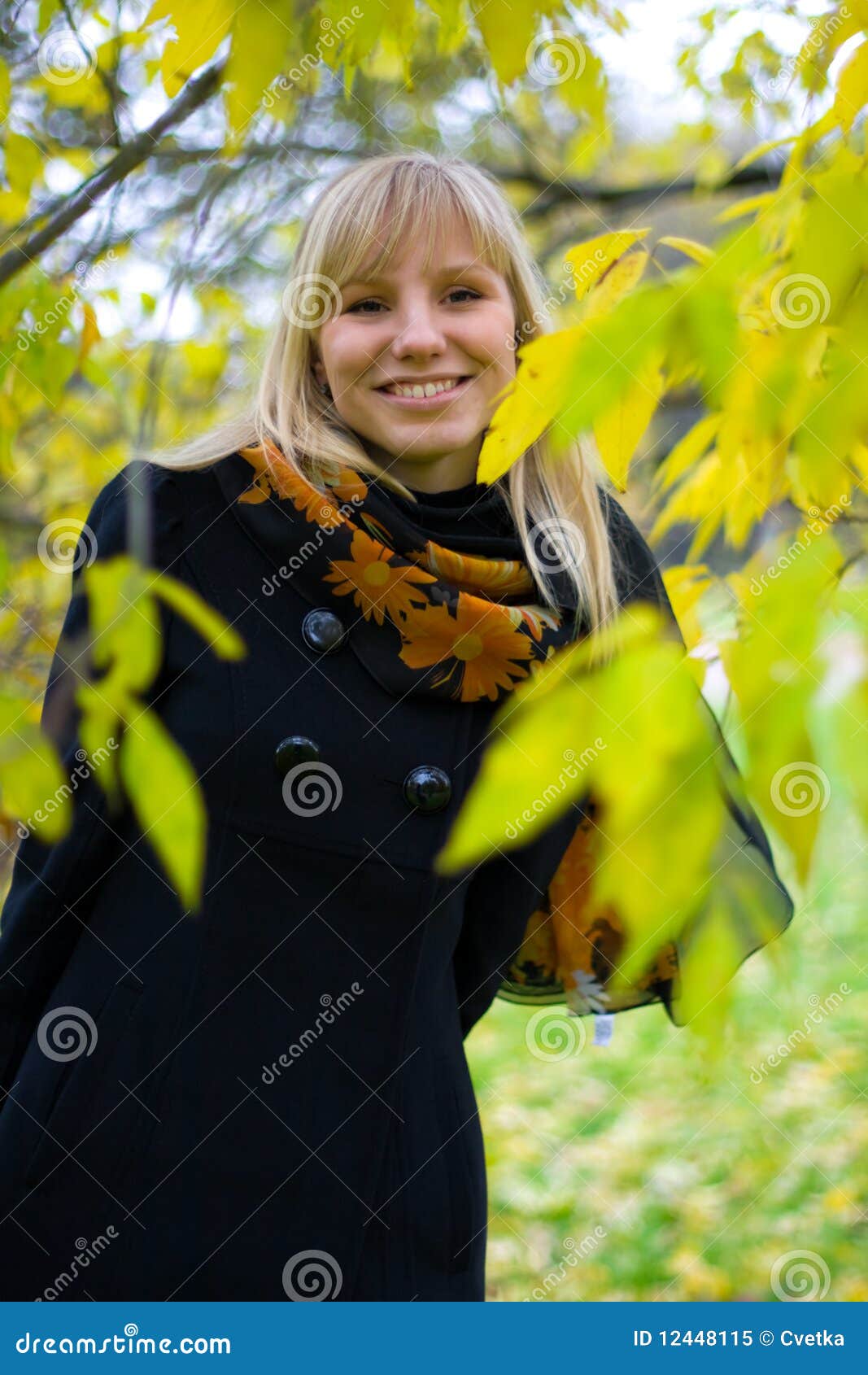 Fall girl stock image. Image of fall, adult, autumn, adorable - 12448115