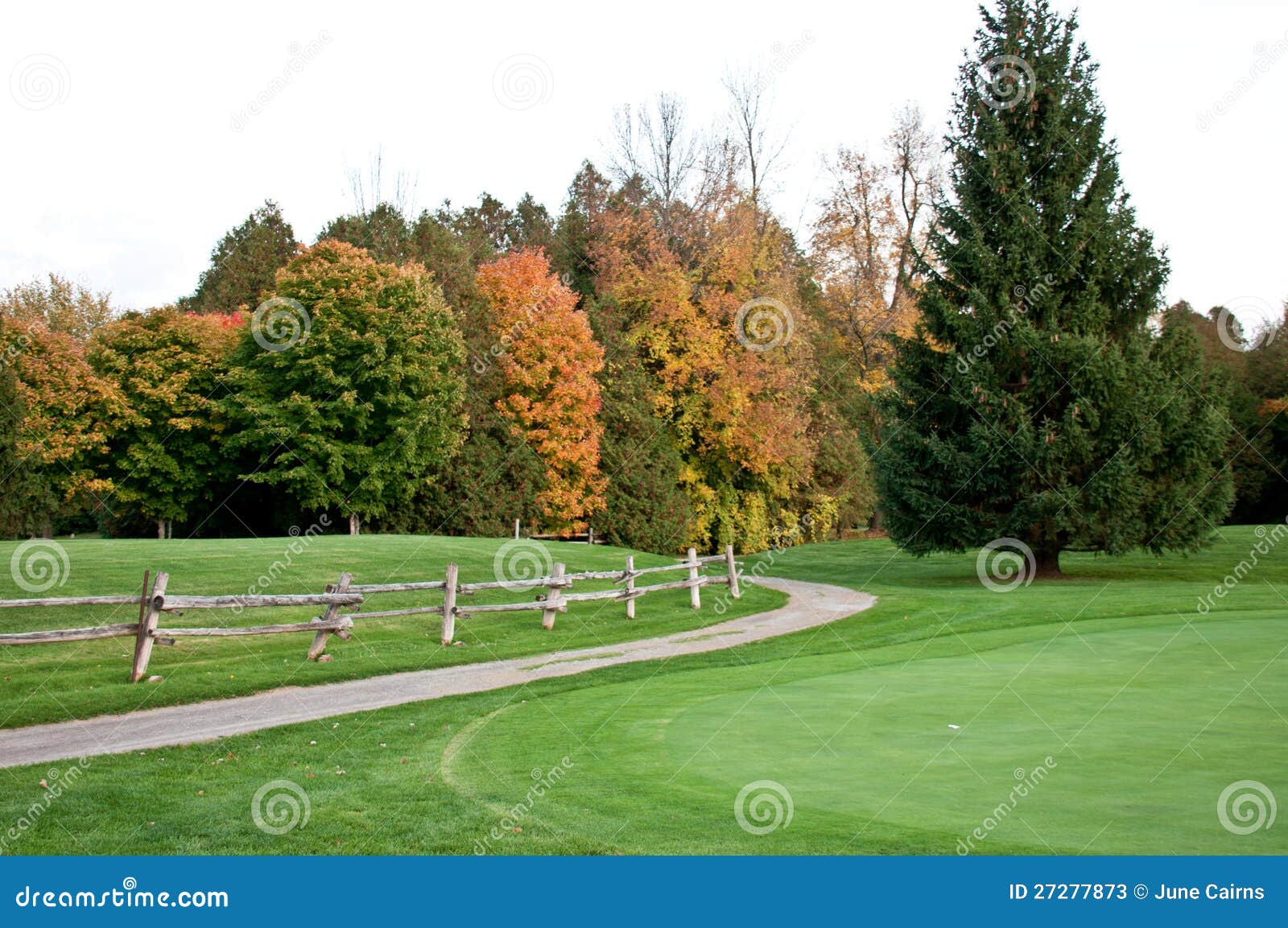 Fall on the golfcourse stock image. Image of brown, green - 27277873