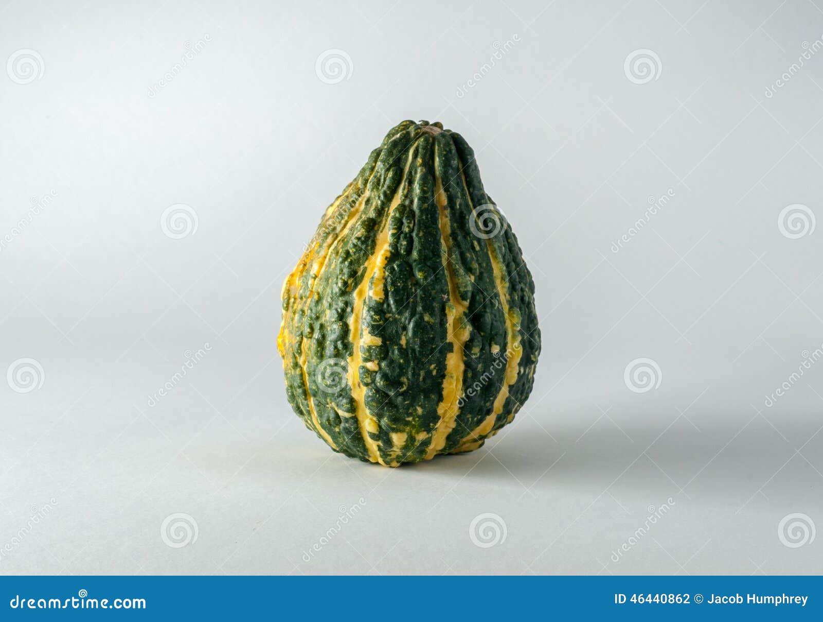 Fall Gourd stock photo. Image of farming, fall, season - 46440862