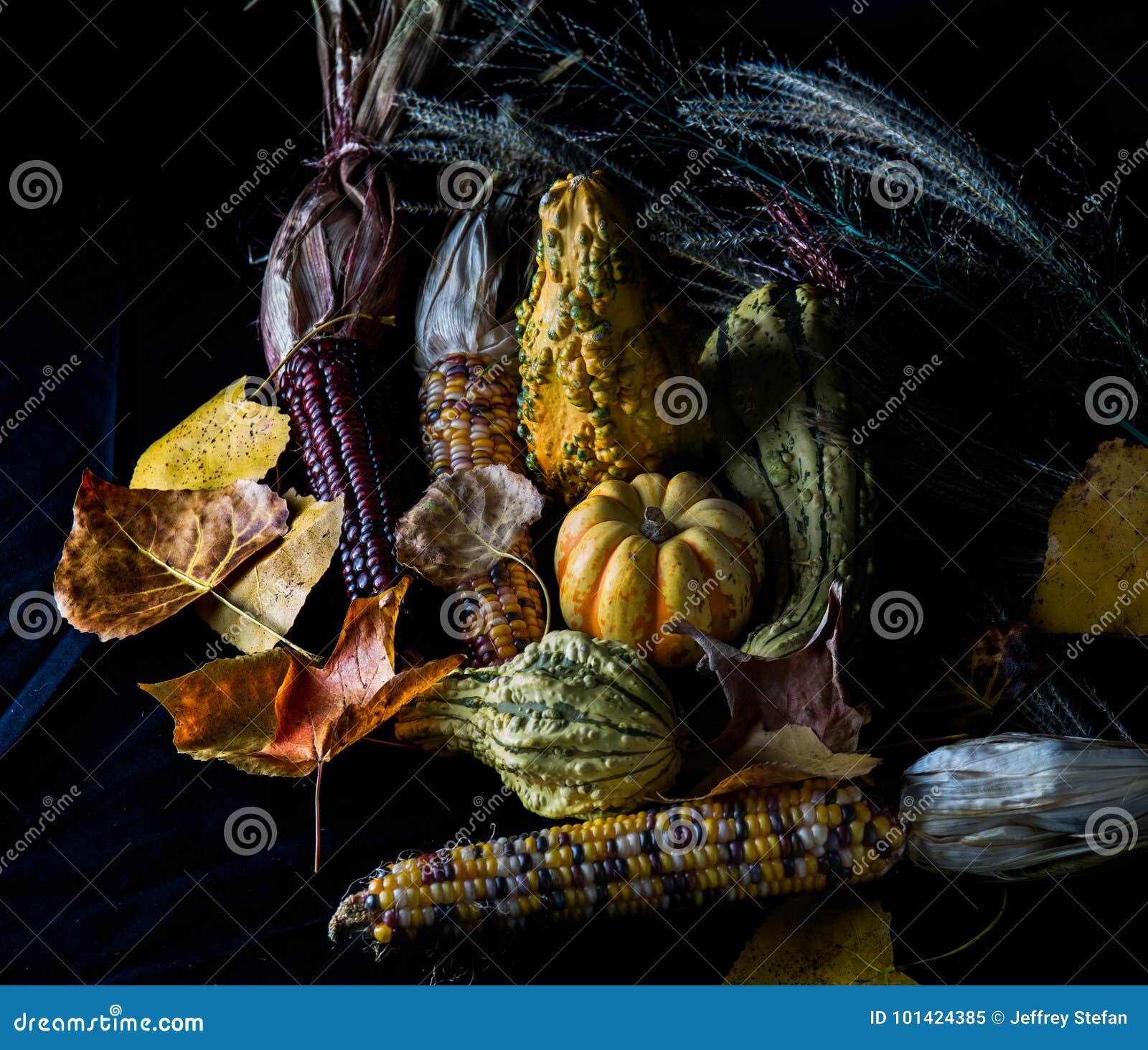 Fall Gourds and Corn stock image. Image of fall, seasonal - 101424385