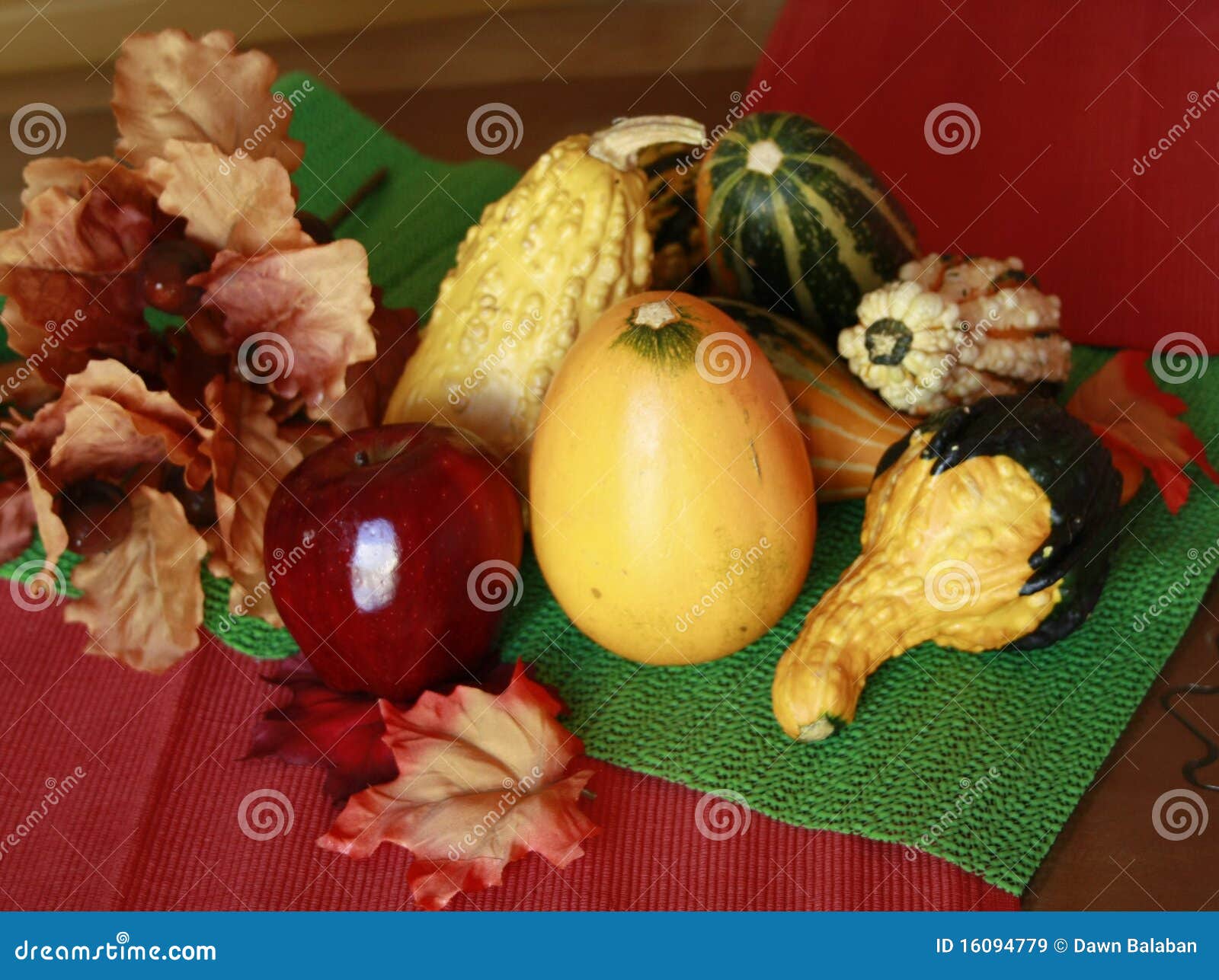 Fall gourds with leaves stock image. Image of harvest - 16094779