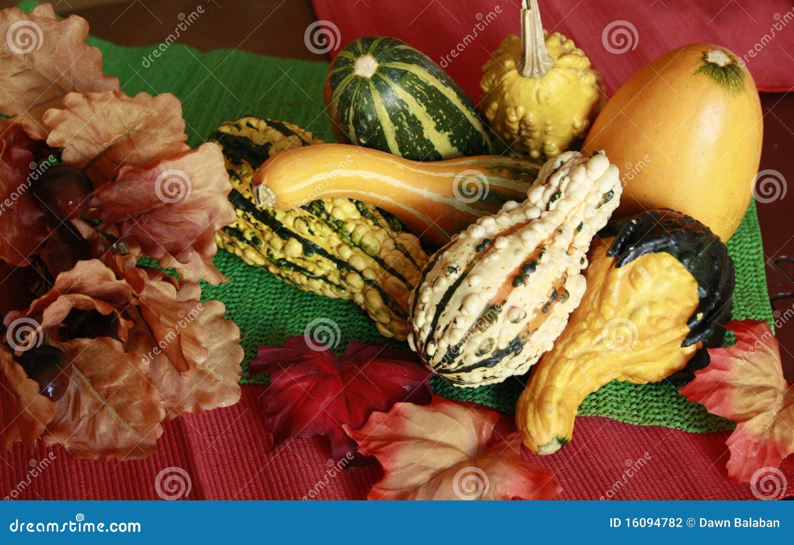 Fall Gourds and Leaves stock photo. Image of assortment - 16094782