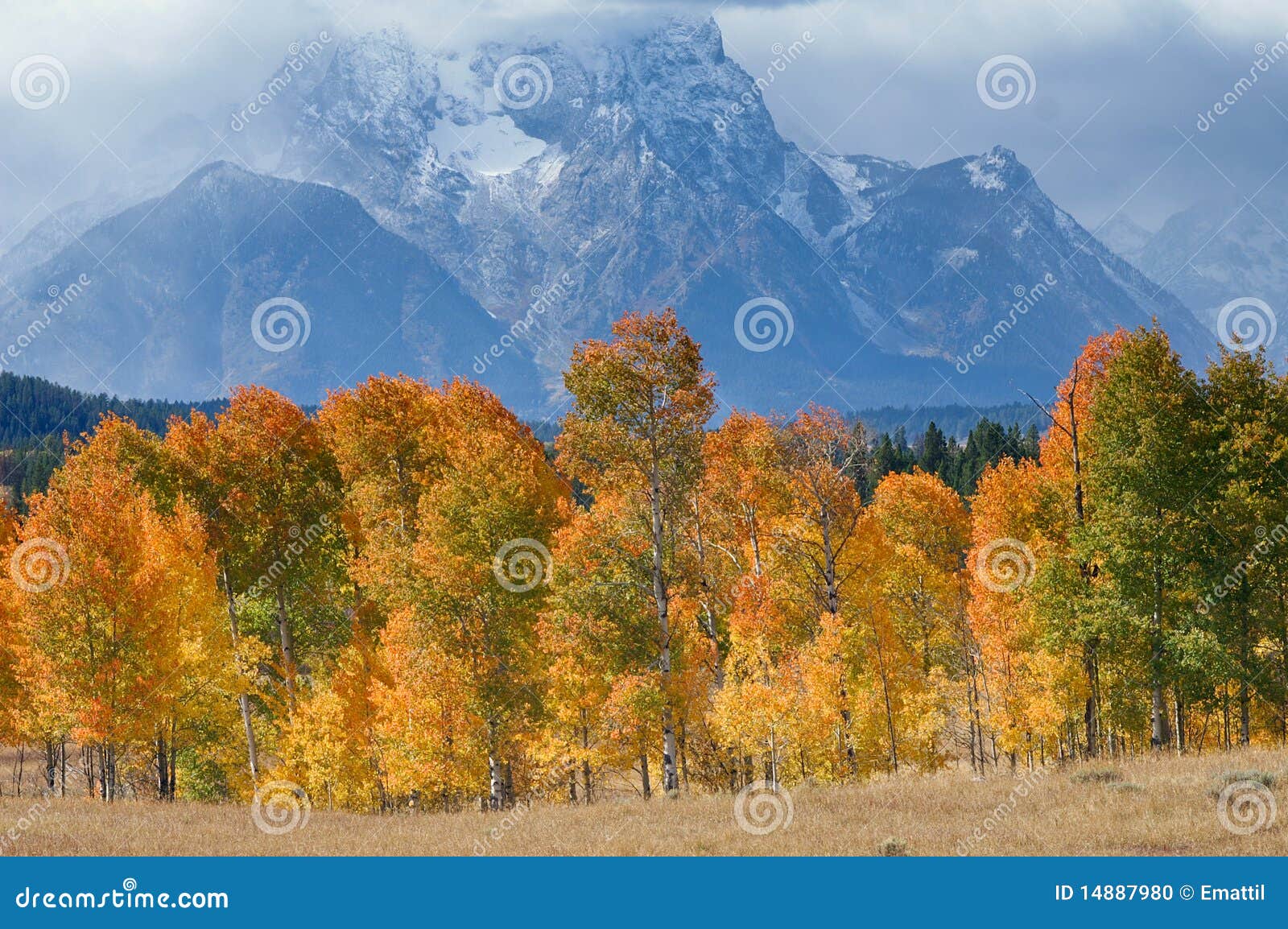 Fall at Grand Tetons stock photo. Image of oxbow, daytime - 14887980