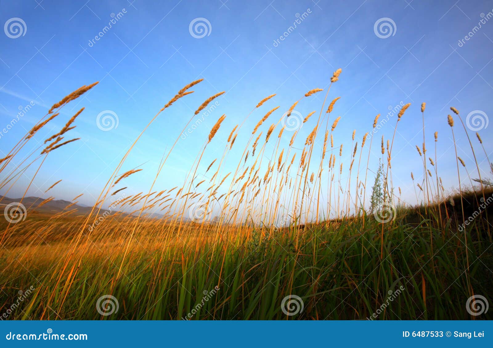 Fall grass stock image. Image of clouds, mountain, season - 6487533