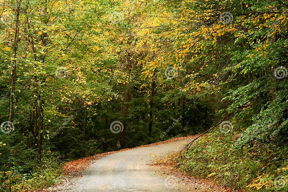 Fall Gravel road stock image. Image of scenic, fall, georgia - 4902979