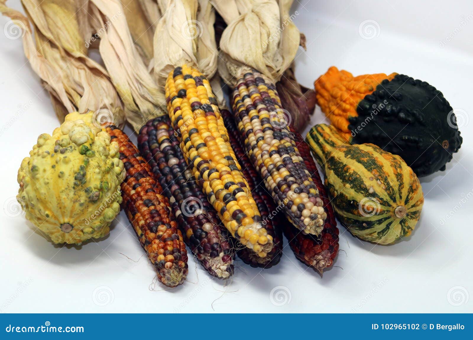 Fall Halloween Pumpkin Corn Decoration Stock Photo - Image of holiday ...