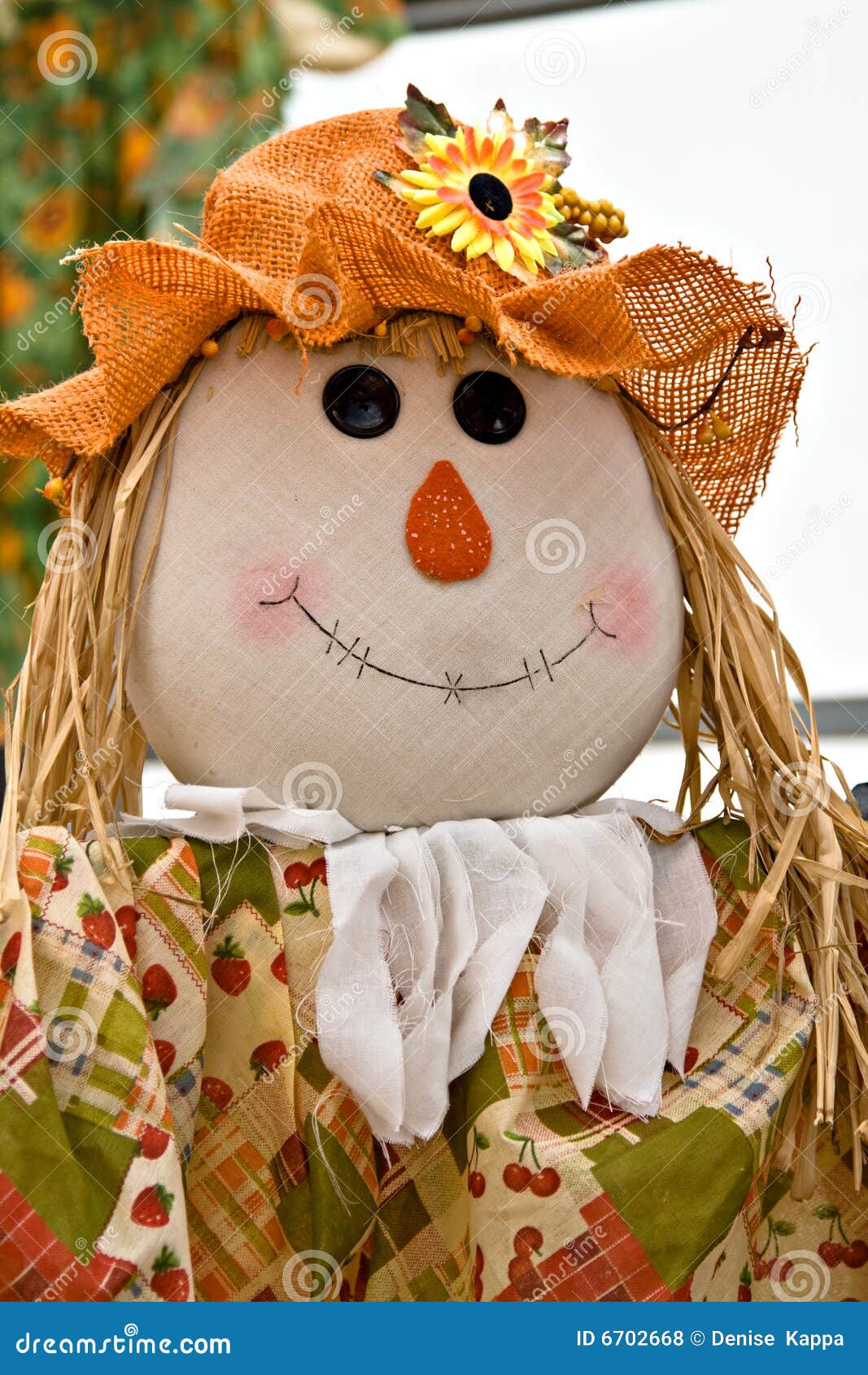 Fall Halloween Scarecrow stock photo. Image of halloween - 6702668