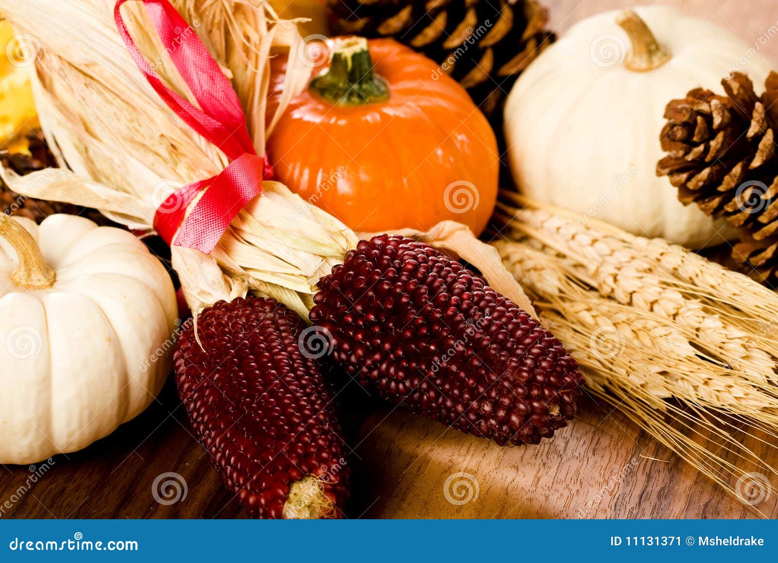 Fall Harvest stock image. Image of wood, gourd, harvest - 11131371