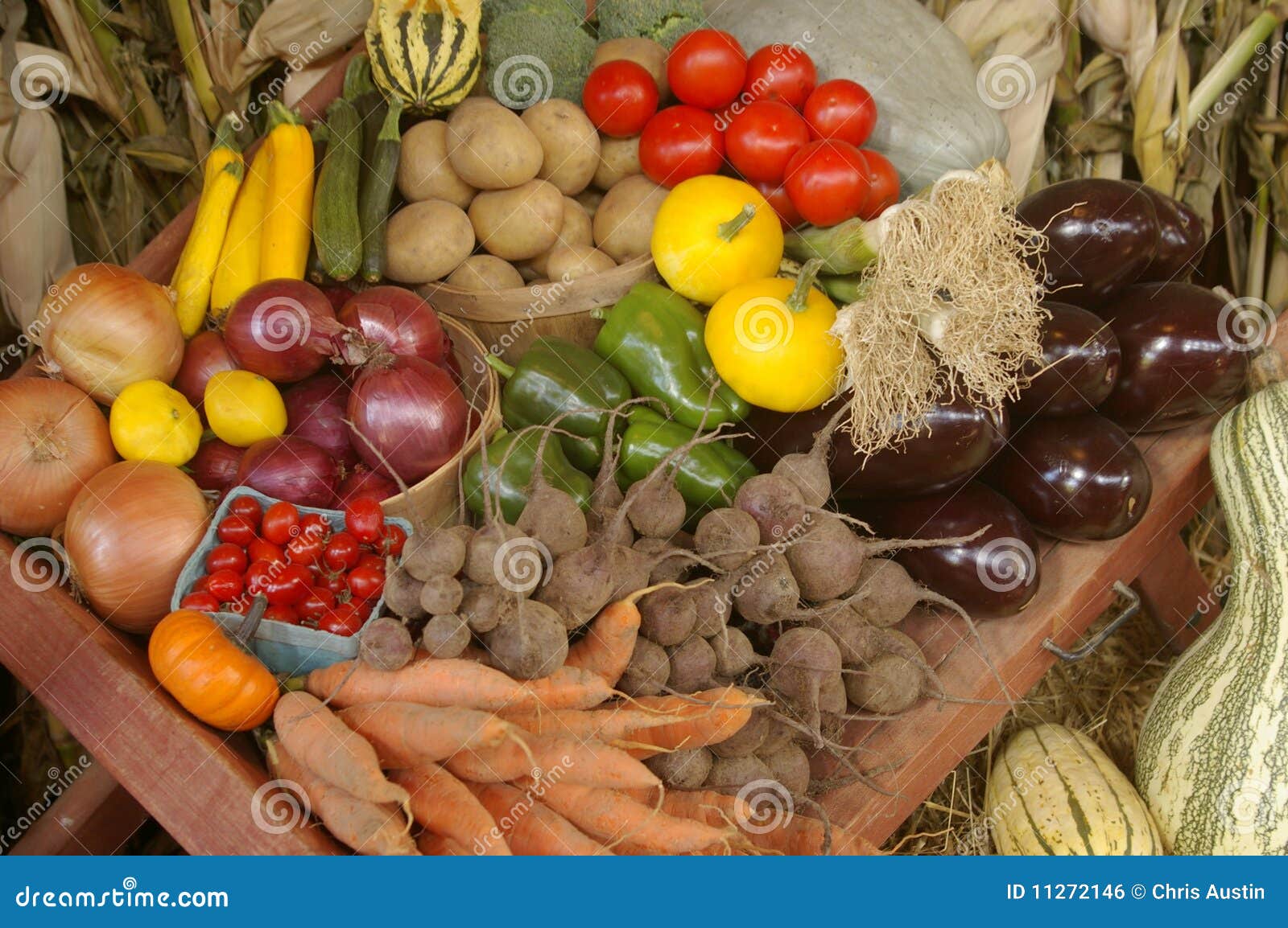 Fall Harvest stock photo. Image of squash, pumpkin, purple - 11272146