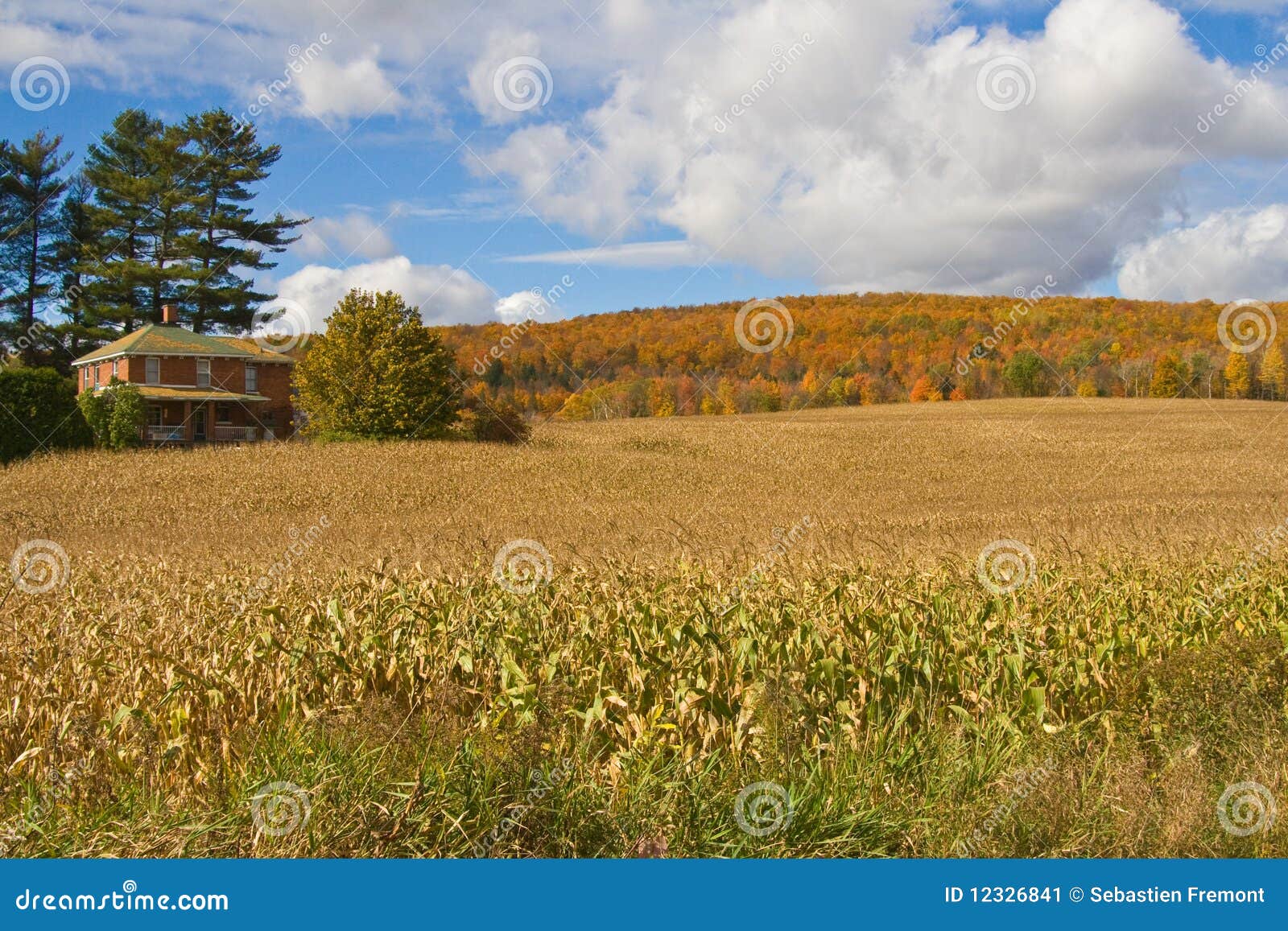 Fall harvest stock image. Image of seasonal, cottage - 12326841