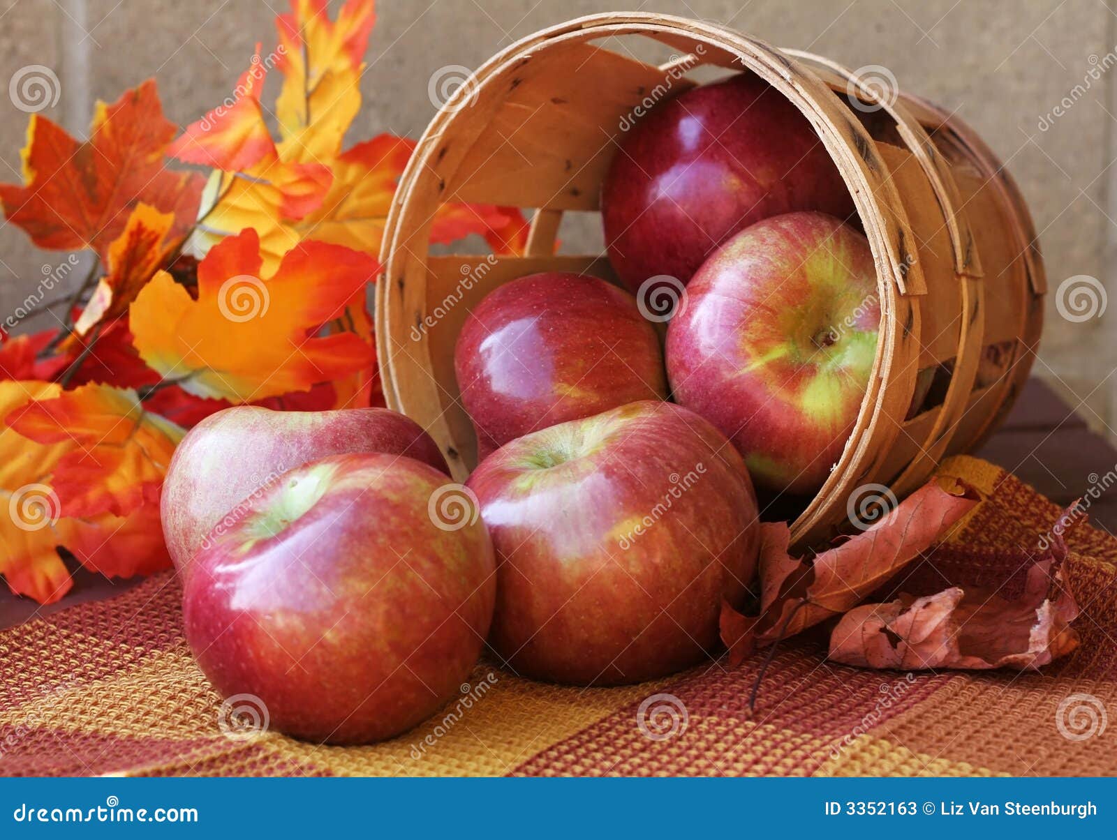 Fall Harvest stock image. Image of ripe, autumn, bushel - 3352163
