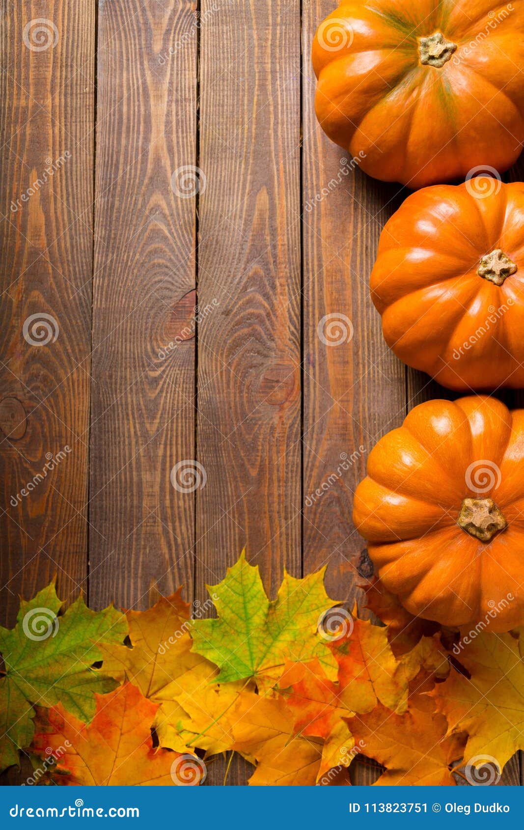 3,842 Fall Harvest Backgrounds Stock Photos - Free & Royalty-Free Stock ...