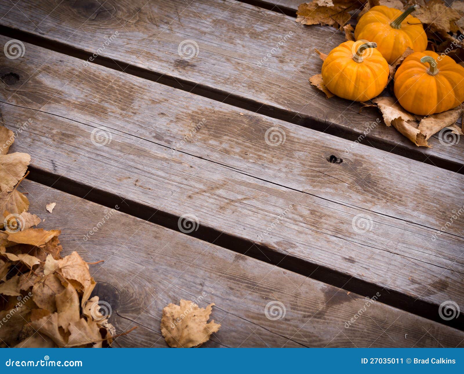 Fall Harvest: Combining Soybeans Royalty-Free Stock Image ...