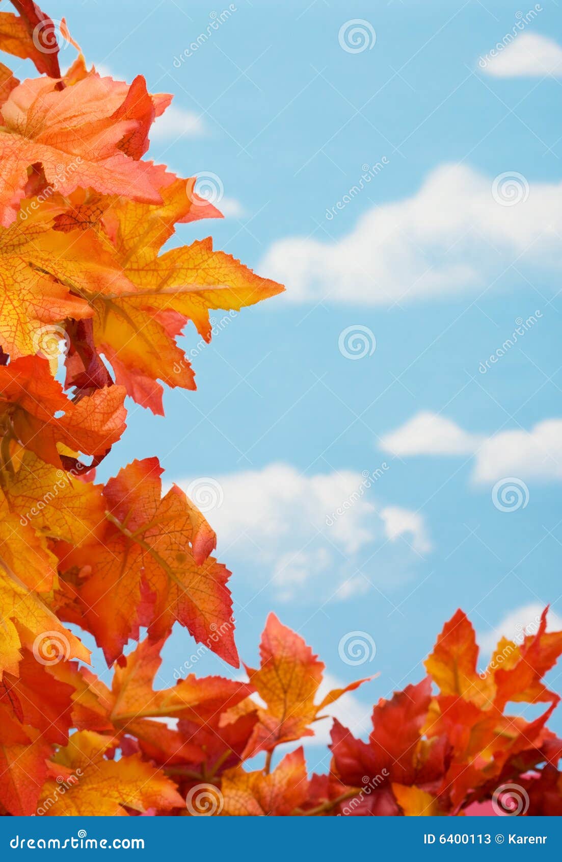 Fall Harvest Border stock image. Image of thanksgiving - 6400113