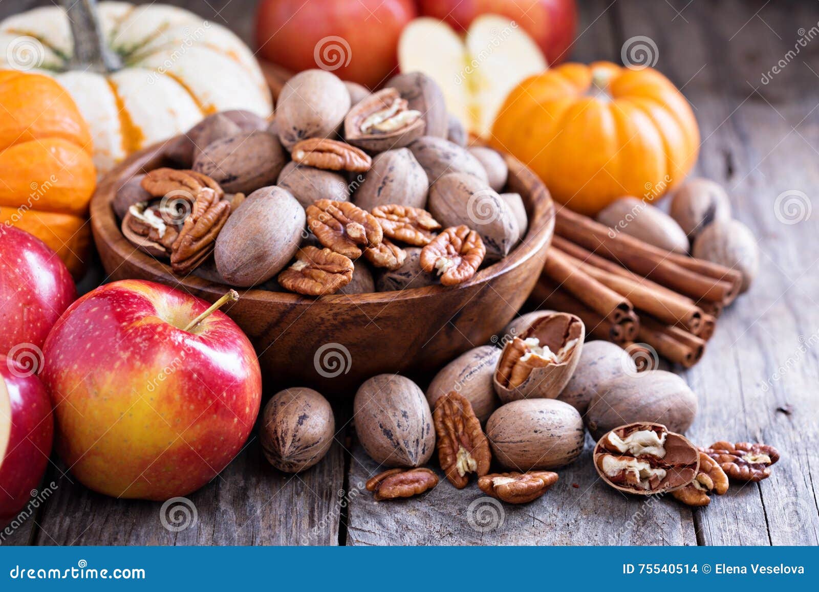 Fall Harvest Concept - Nuts and Pumpkins Stock Photo - Image of brown ...