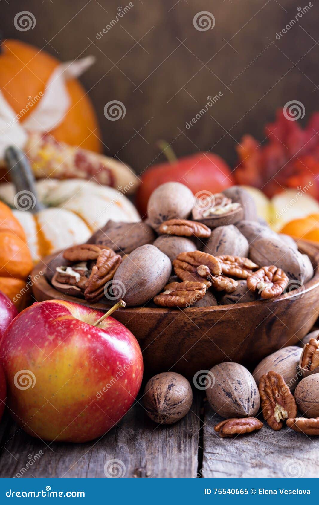 Fall Harvest Concept - Nuts and Pumpkins Stock Photo - Image of fresh ...