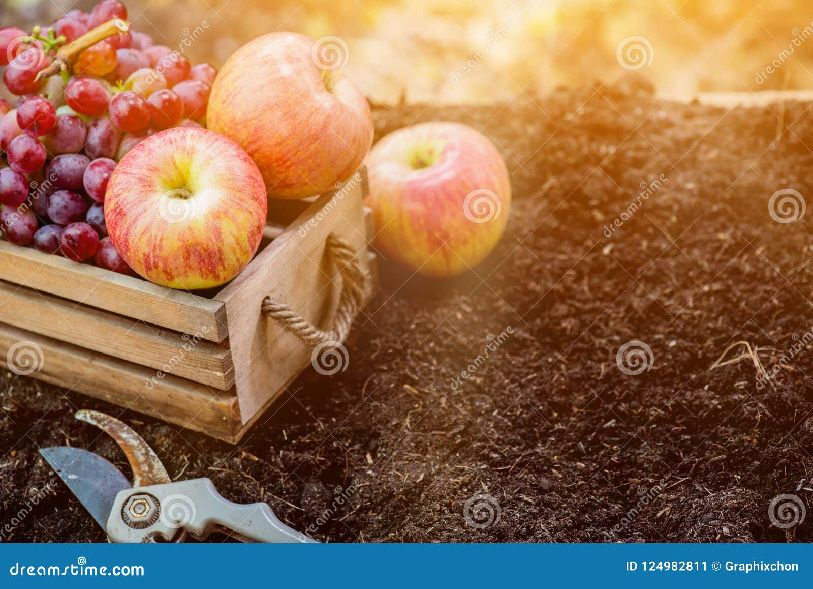 Fall Harvest Cornucopia. Autumn Season Stock Image - Image of garden ...