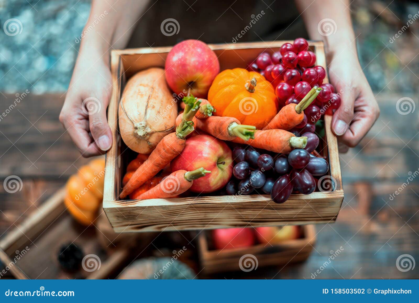 Fall Harvest Cornucopia. Autumn Season with Fruit and Vegetable Stock ...