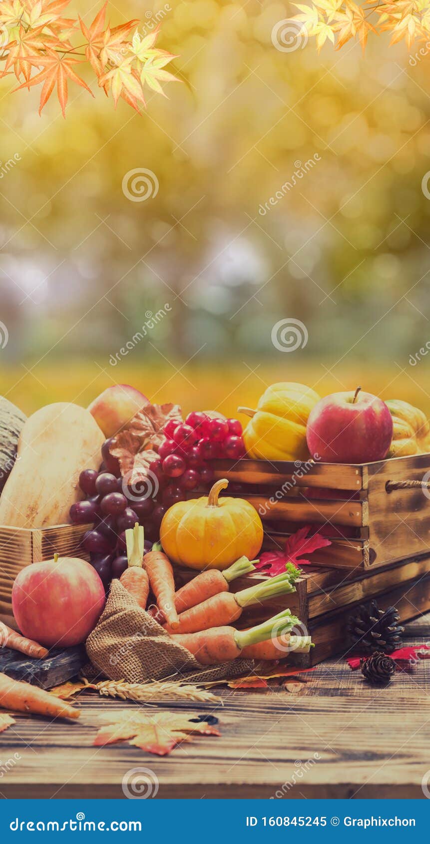 Fall Harvest Cornucopia. Autumn Season Thanksgiving Day Concept Stock ...