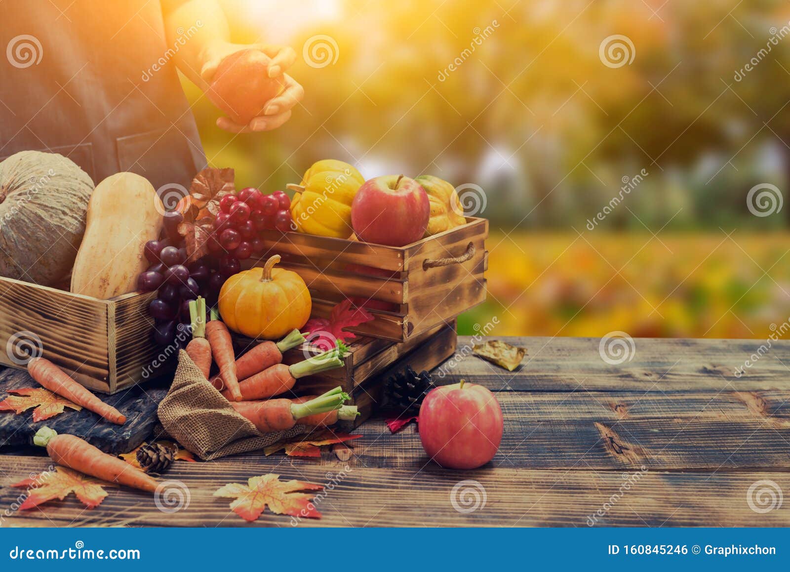 Fall Harvest Cornucopia. Autumn Season with Fruit and Vegetable Stock ...