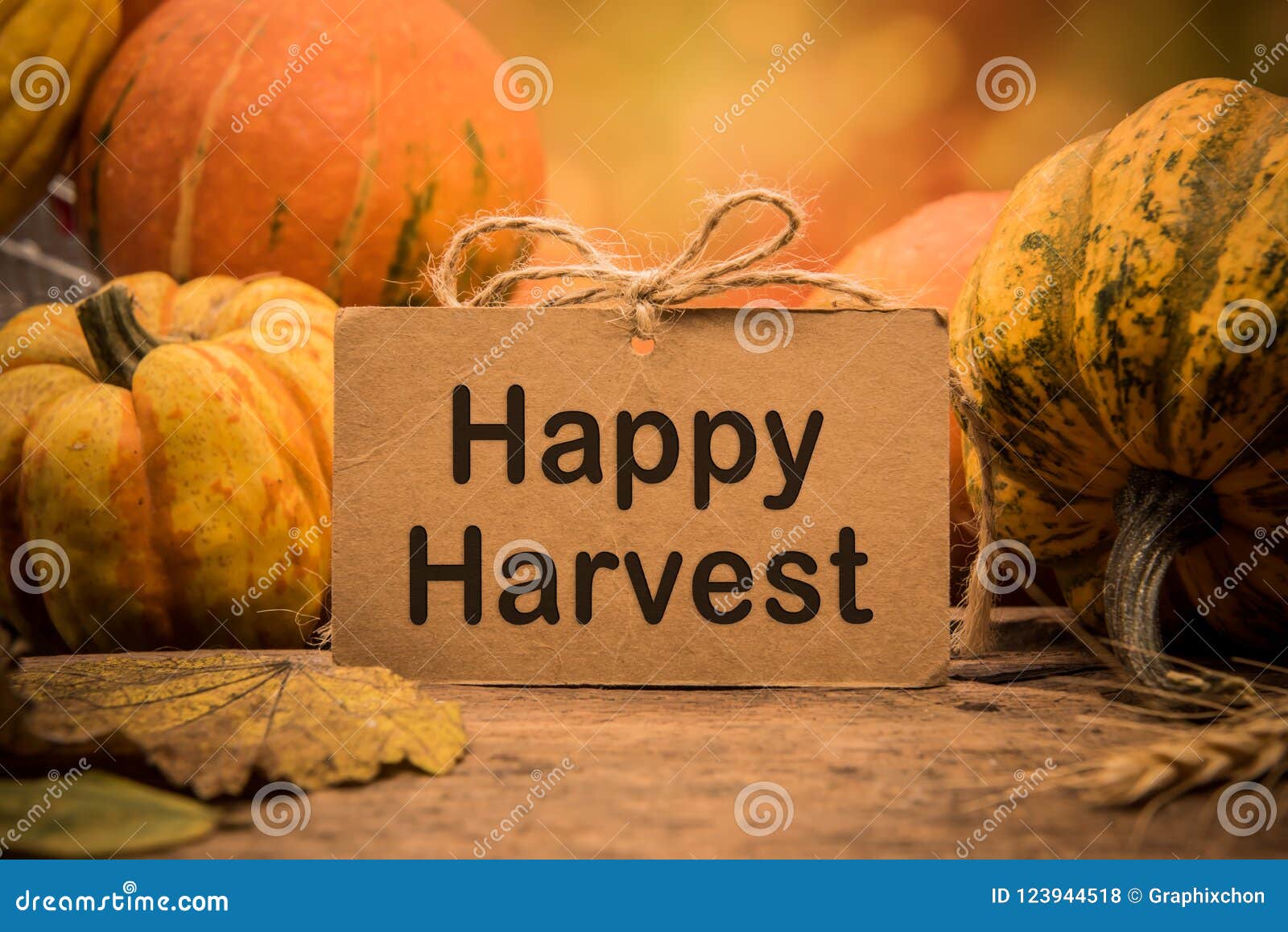Fall harvest cornucopia. stock photo. Image of healthy - 123944518
