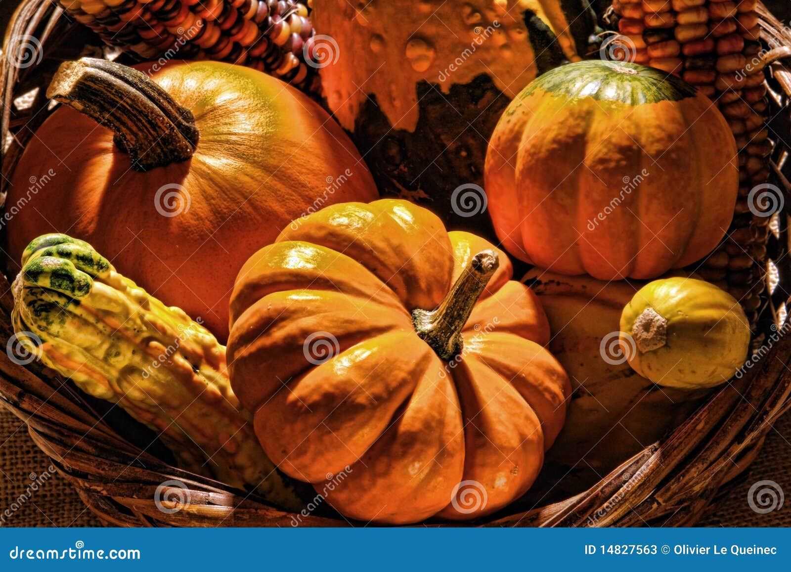 Fall Harvest Decorative Vegetables in a Basket Stock Image - Image of ...