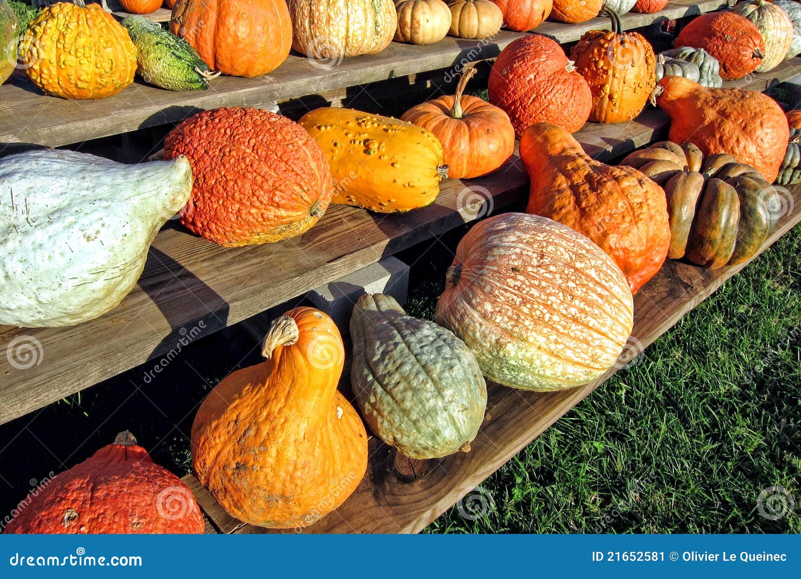 Fall Harvest Decorative Vegetables on Farm Stand Stock Image - Image of ...