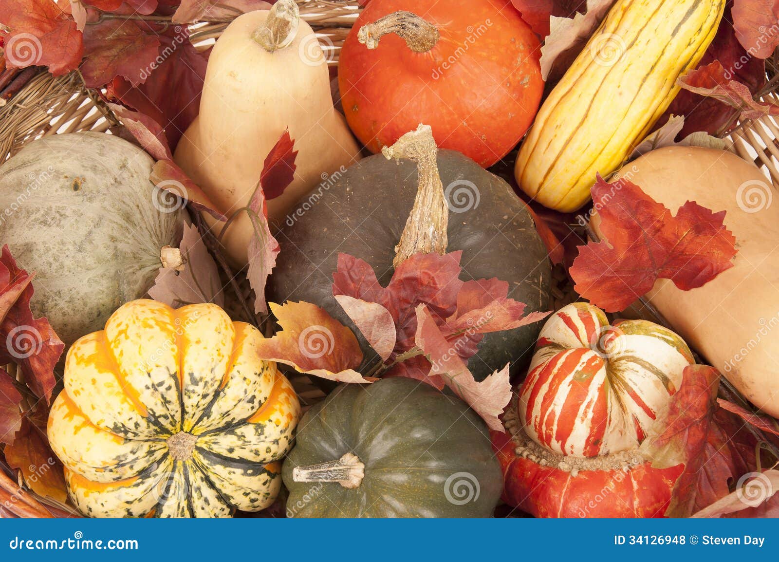 Fall Harvest of Different Squashes in Wicker Basket Stock Photo - Image ...