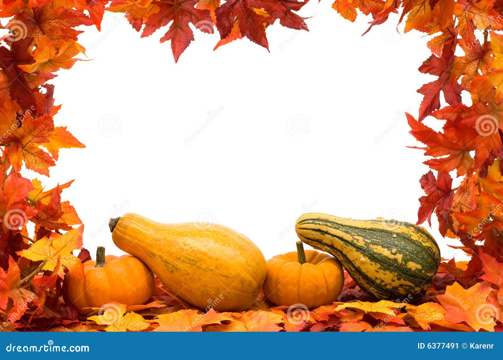 Fall Harvest Frame stock image. Image of frame, gourds - 6377491