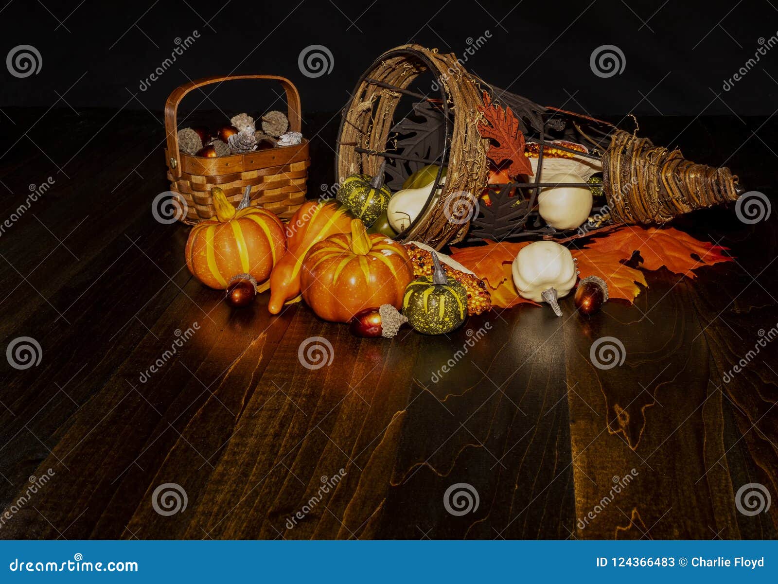 Fall Harvest Horn of Plenty Stock Image - Image of green, autumn: 124366483