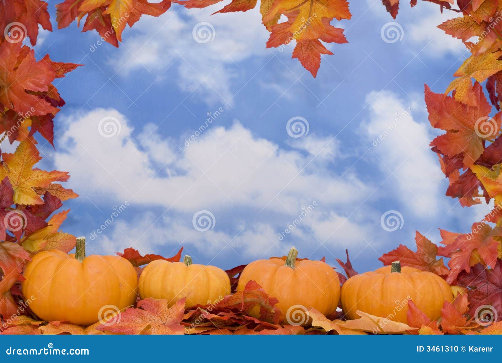 Fall Harvest Scene stock photo. Image of crops, autumn - 3461310