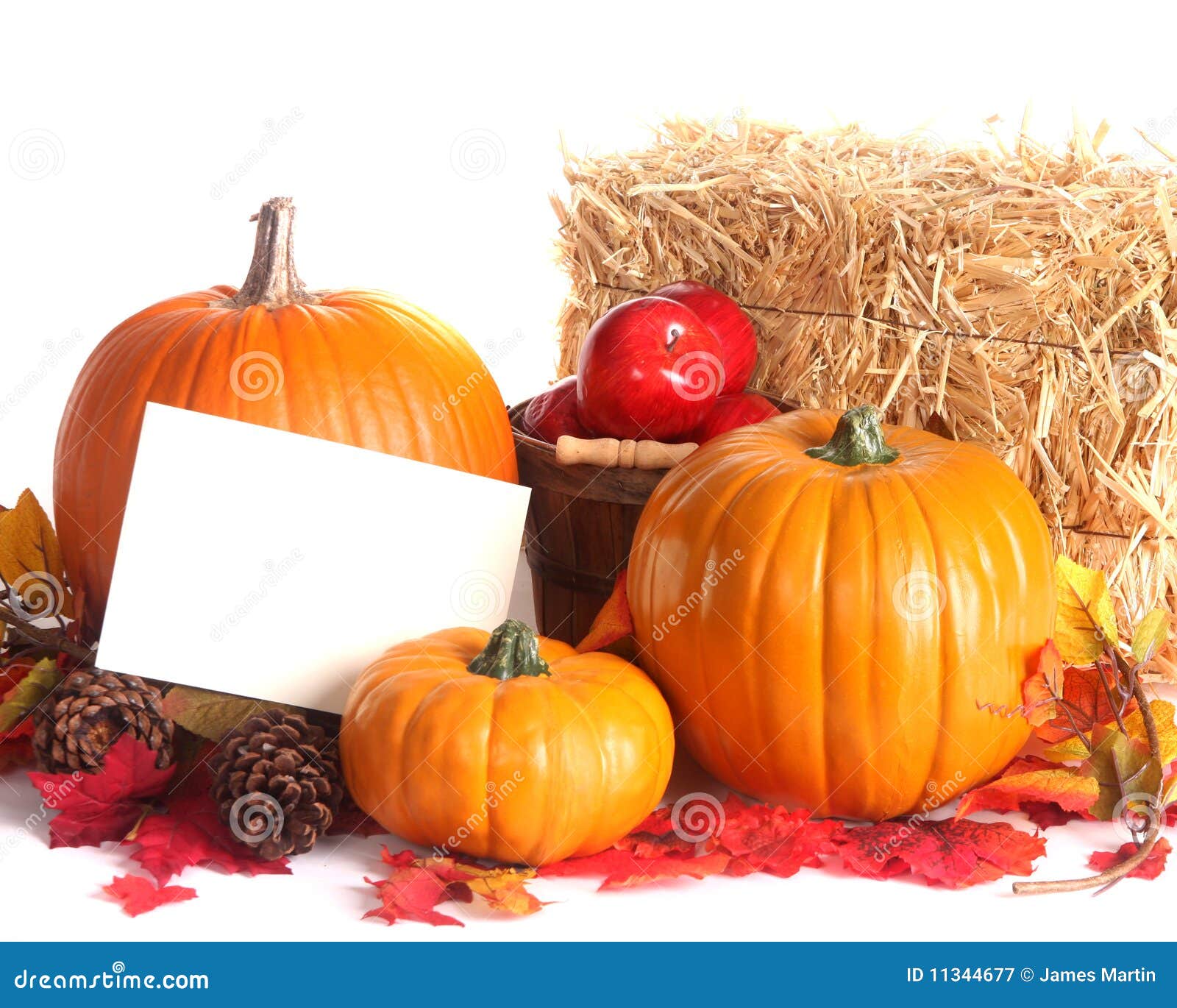 Fall Harvest Scene Isolated on White Stock Image - Image of color ...