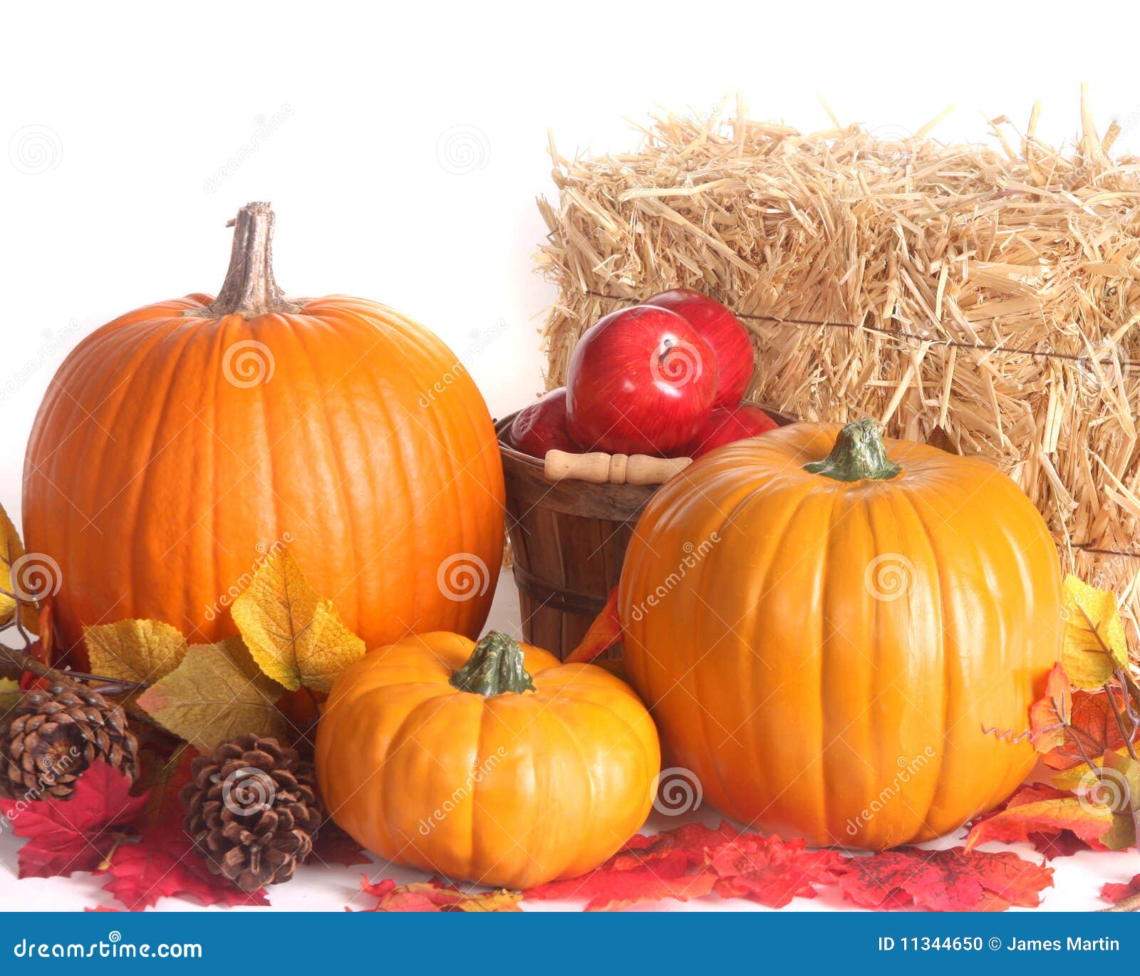 Fall Harvest Scene Isolated on White Background Stock Photo - Image of ...