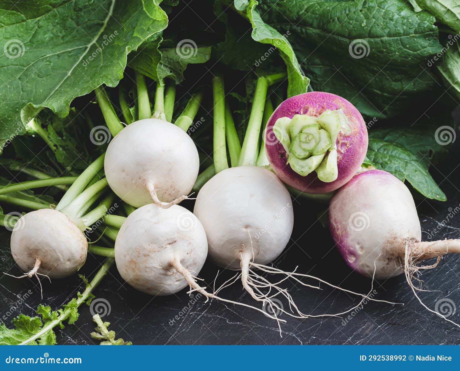 Fall harvest of turnips stock photo. Image of harvest - 292538992