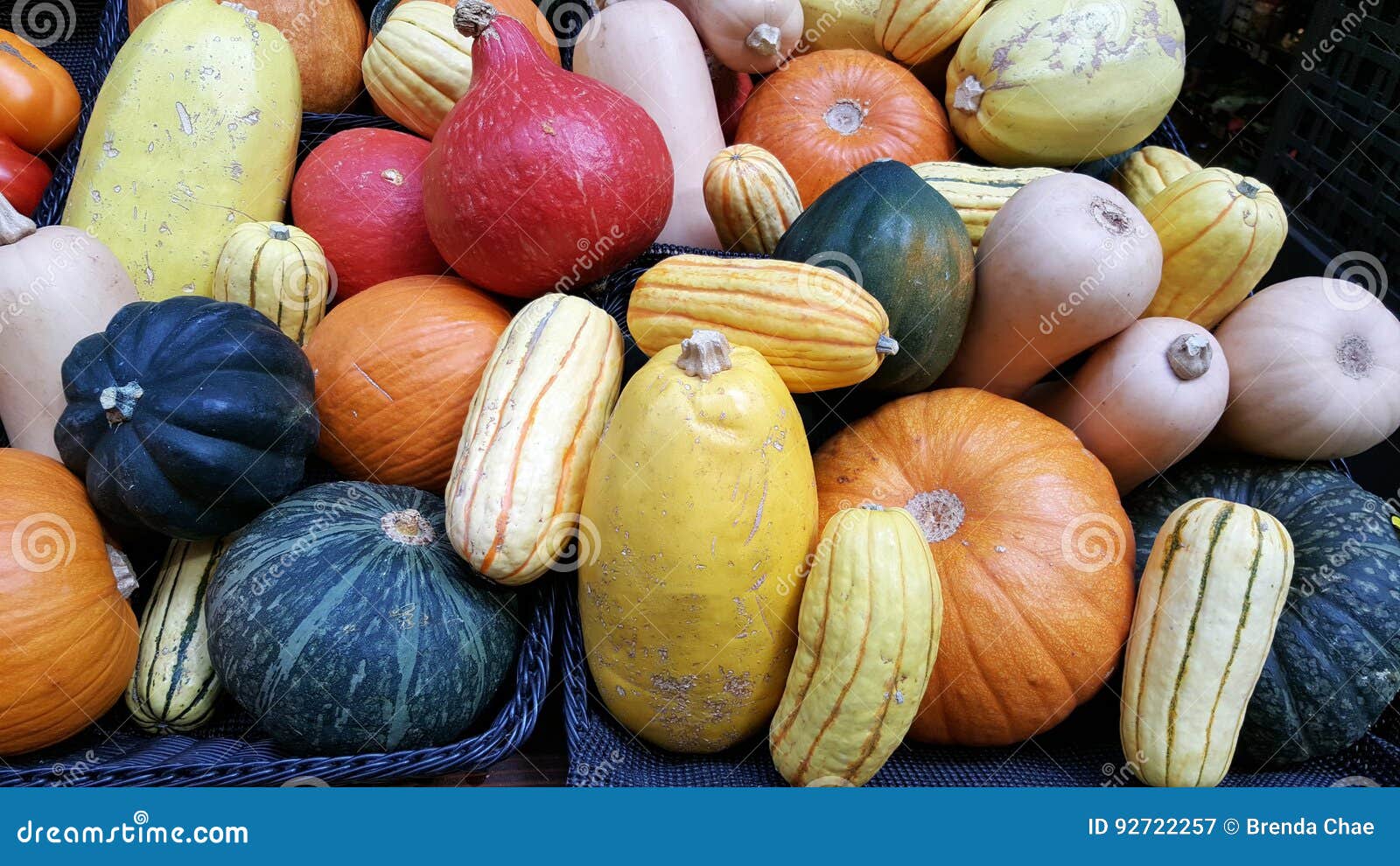 Fall Harvest Vegetables at a Market Stock Image - Image of vegetable ...